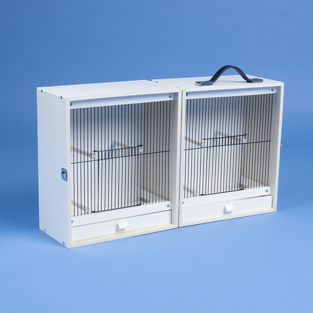 SingleCarryCaseMain.jpg?crop=center&height=1200&v=1713537163&width=1200